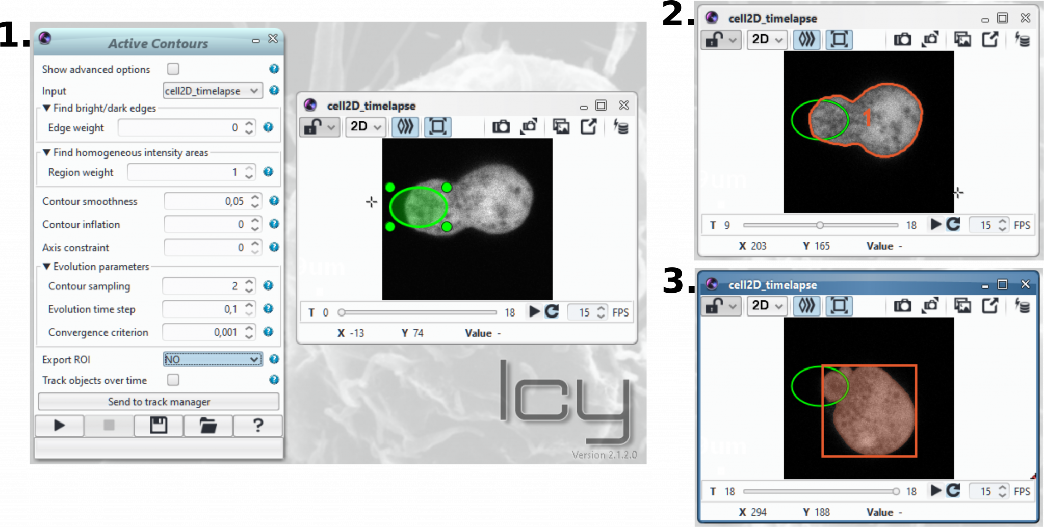Active Contours | – Open Source Image Processing Software