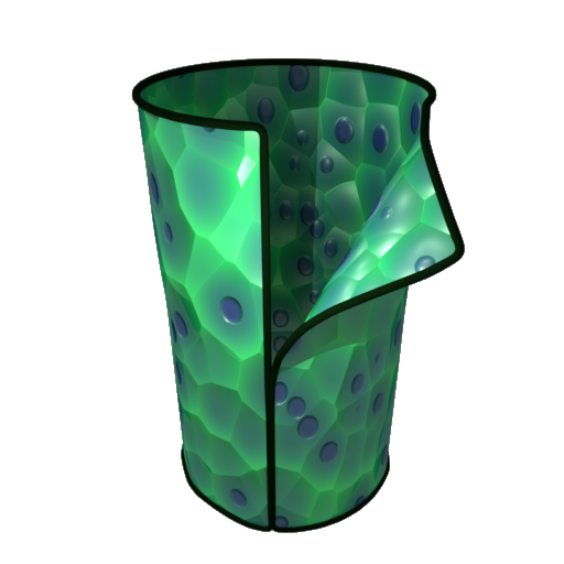 TubeSkinner | – Open Source Image Processing Software