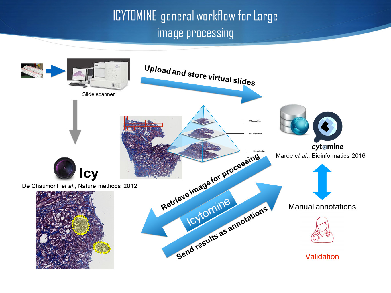 Icytomine Explorer | – Open Source Image Processing Software
