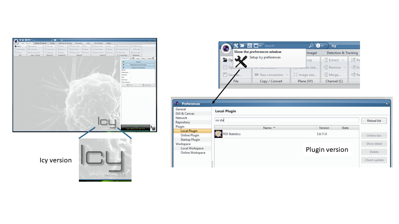 How to get help on the Icy software? | – Open Source Image Processing ...